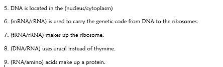 Solved Directions: 1. Use the DNA code to create your mRNA | Chegg.com