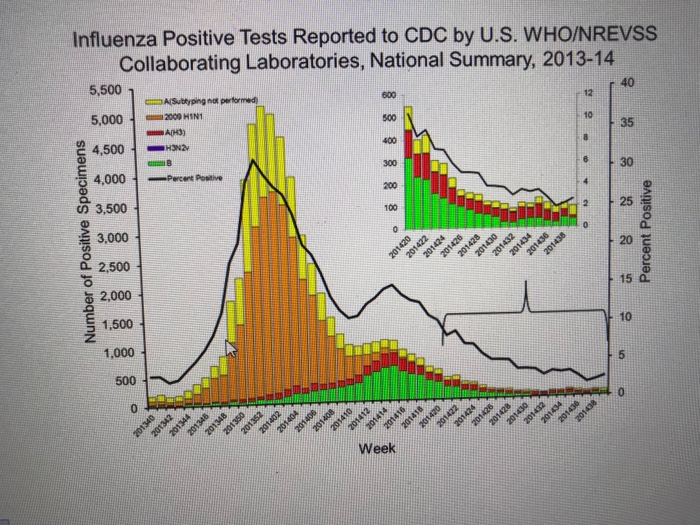 Solved Influenza Positive Tests Reported to CDC by U.S. | Chegg.com