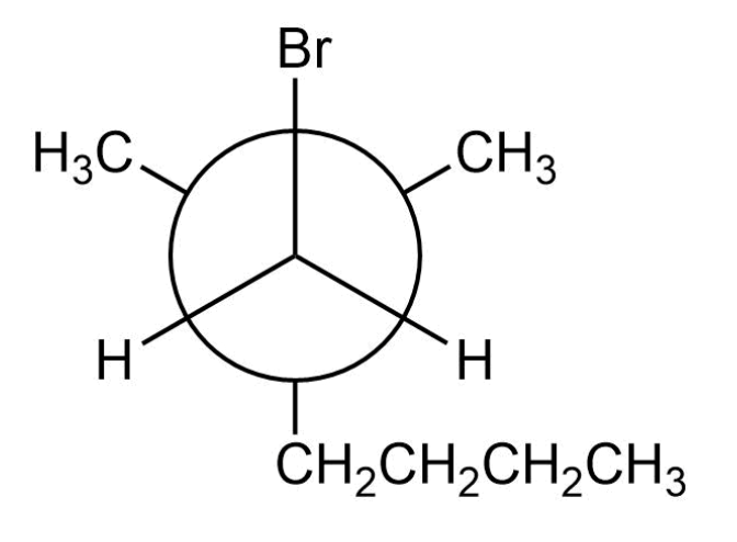 Solved Br H3C CH3 H H CH2CH2CH2CH3 | Chegg.com