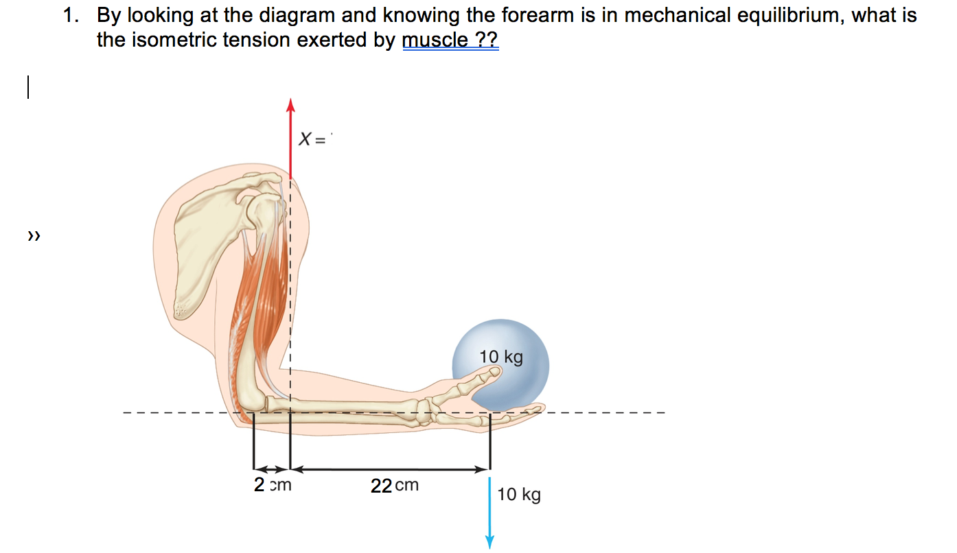 1. By looking at the diagram and knowing the forearm | Chegg.com