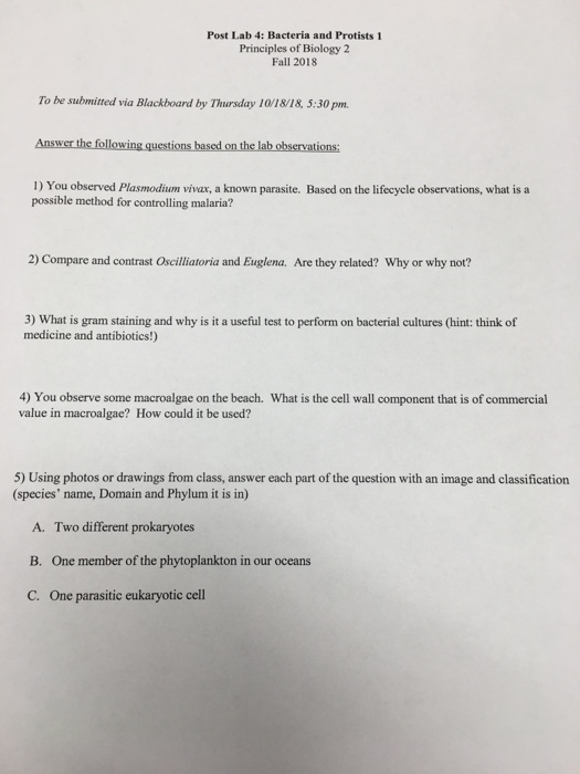Solved Post Lab 4: Bacteria and Protists 1 Principles of | Chegg.com