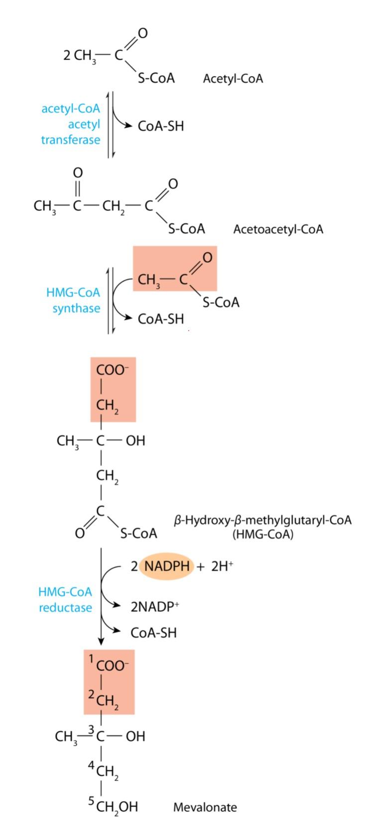 Solved Draw a mechanism for each of the three reactions | Chegg.com