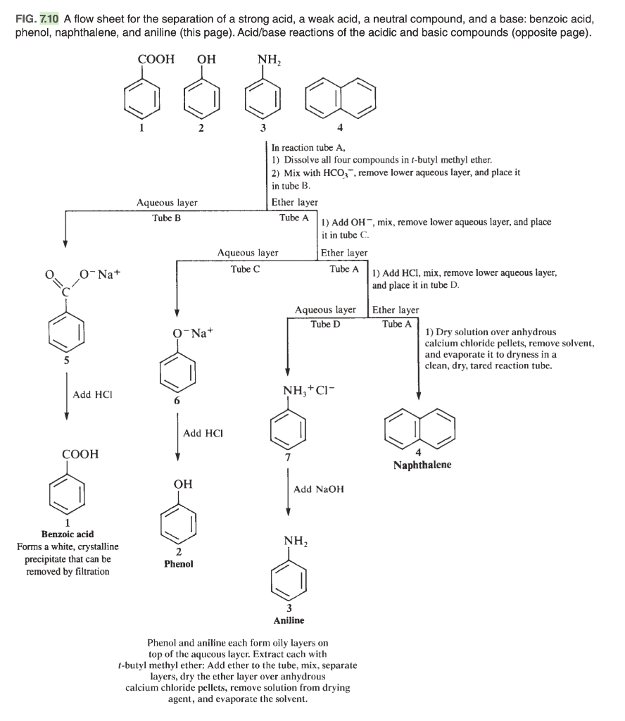 Solved I need help with the flow chart showing structures | Chegg.com