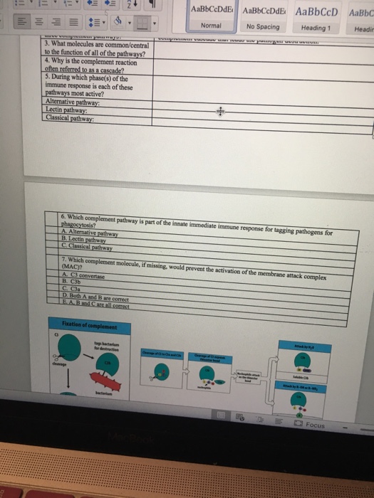Solved aBbCeDE AaBbCeDdE AaBbCcD AaBbo Normal-| No Spacing | Chegg.com