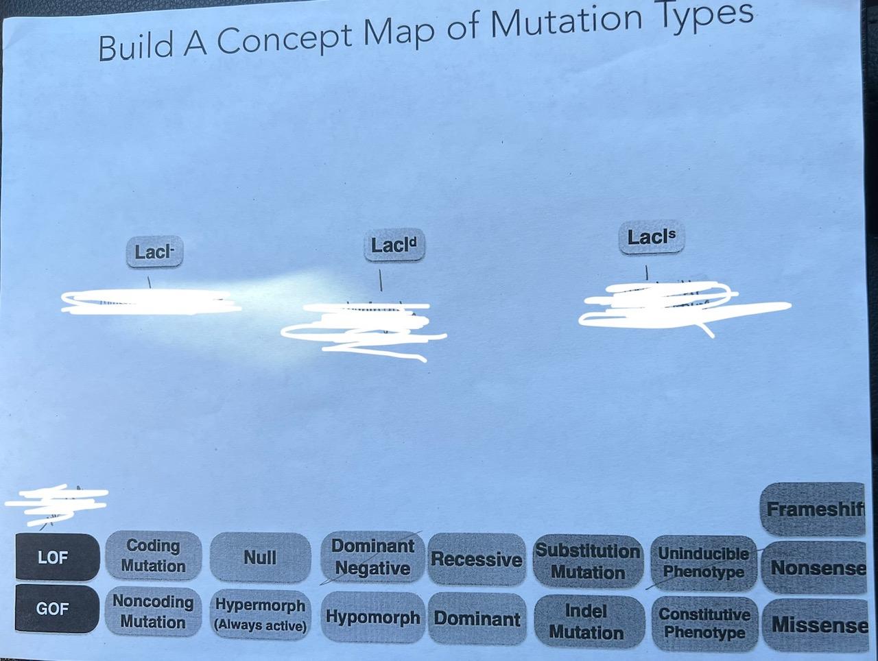 Solved Build A Concept Map of Mutation Types Lacl Lacld | Chegg.com