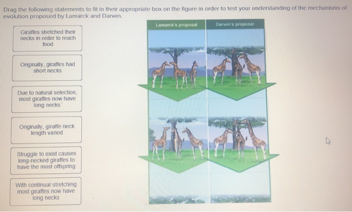 Solved As Darwin completed his five year voyage as | Chegg.com