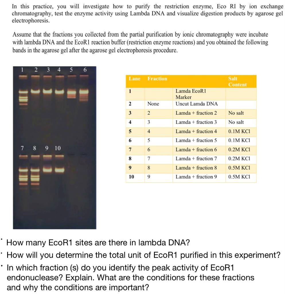Solved In this practice, you will investigate how to purify | Chegg.com