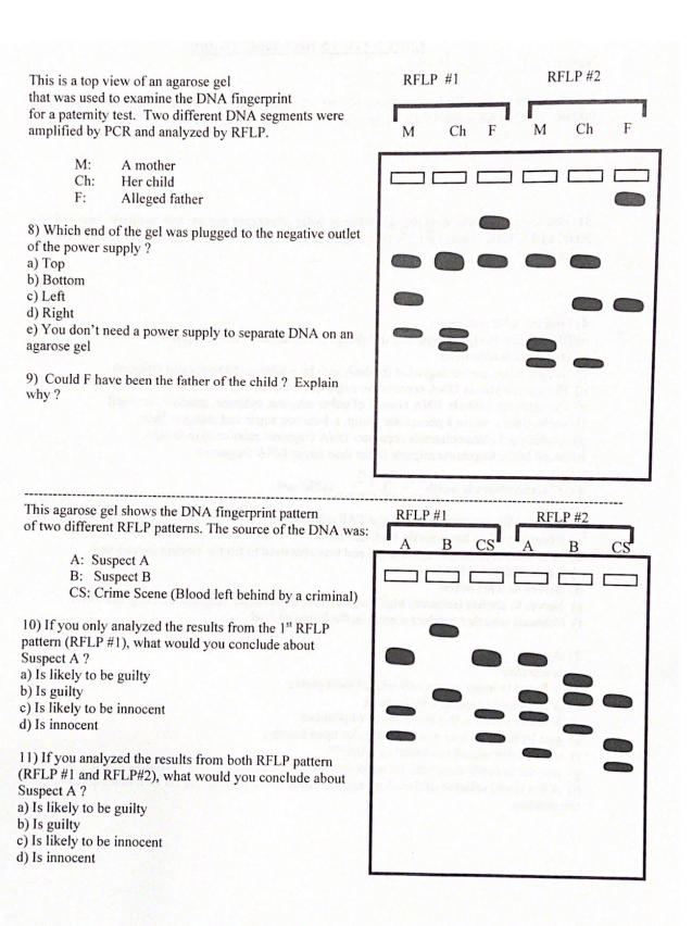 Solved RFLP #1 RFLP #2 M Ch F M Ch F This is a top view of | Chegg.com