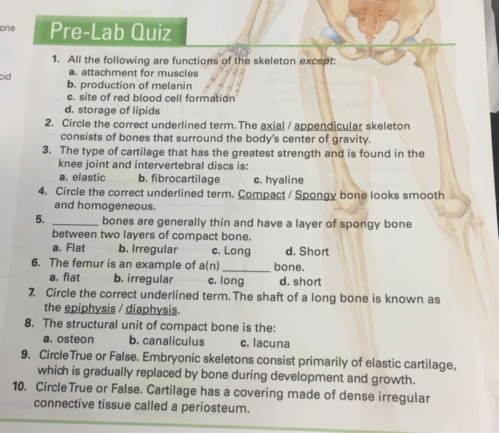 Labflow Pre Lab Quiz 1 at Christy Sample blog
