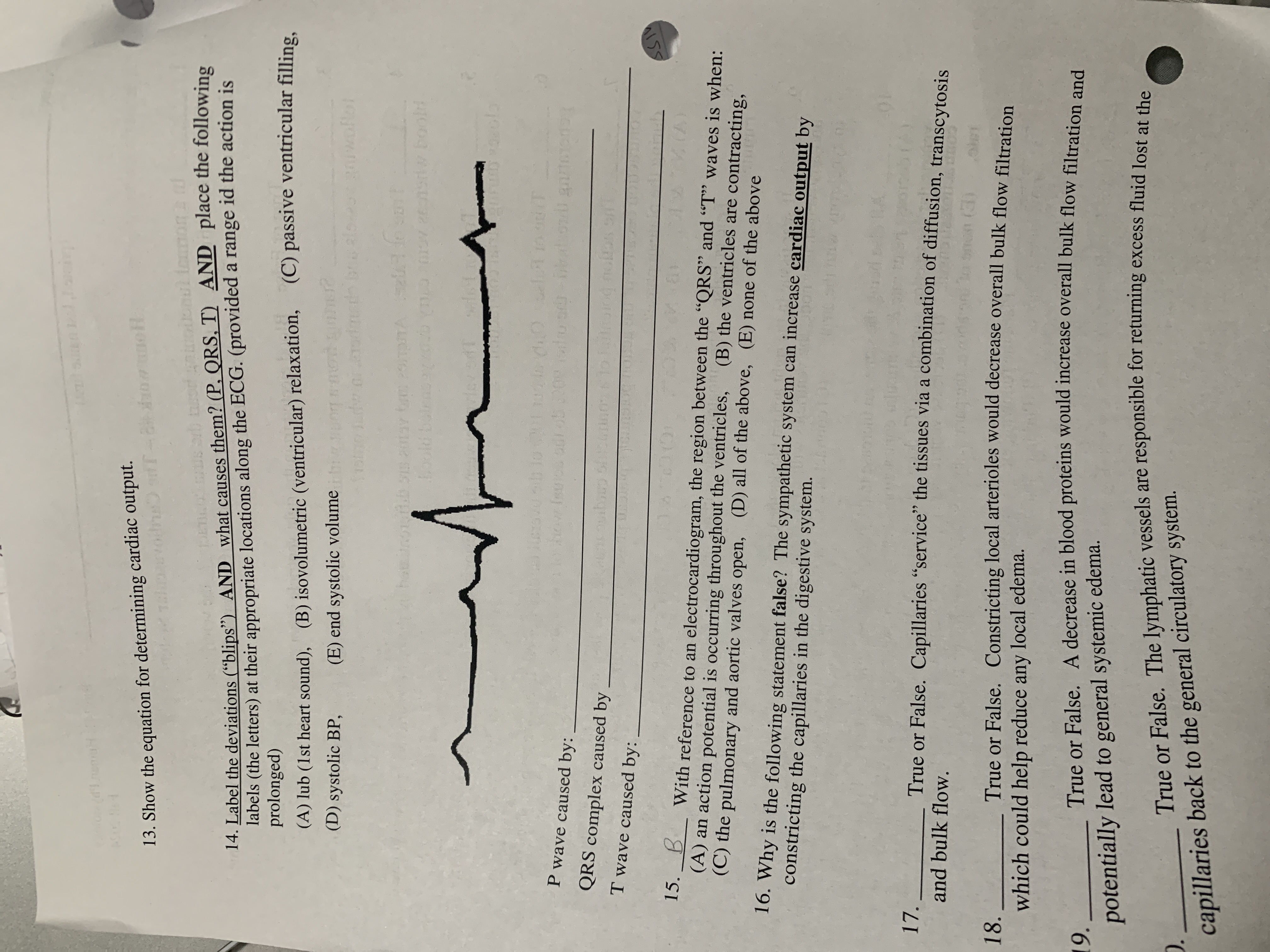 Solved 13. ﻿Show the equation for determining cardiac | Chegg.com