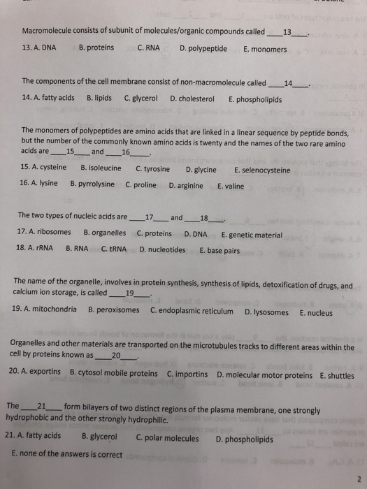 Solved Macromolecule consists of subunit of | Chegg.com