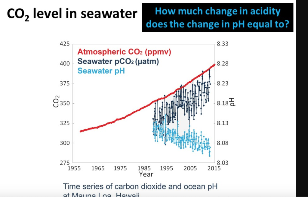 Solved CO2 level in seawater How much change in acidity does | Chegg.com