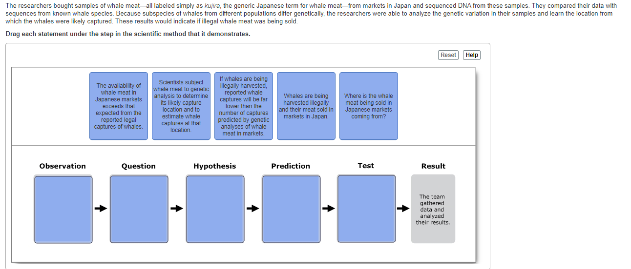 Solved The researchers bought samples of whale meatwall | Chegg.com