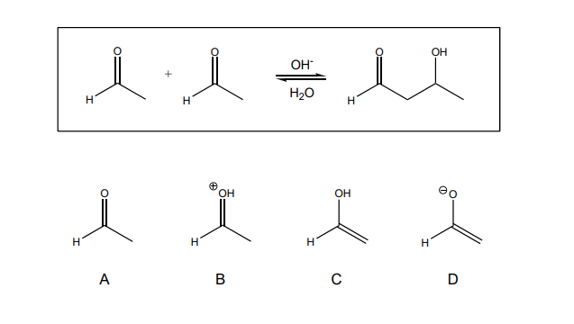 Solved When the aldol addition reaction occurs under basic | Chegg.com