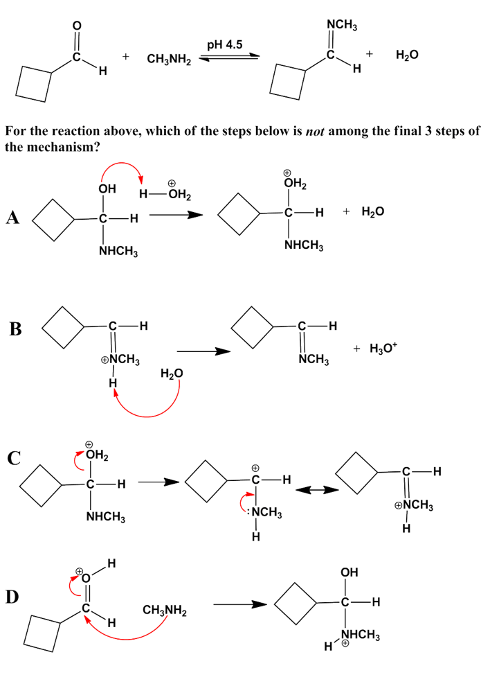 Solved NCH3 pH 4.5 C + o CH3NH2 H2O H H For the reaction | Chegg.com