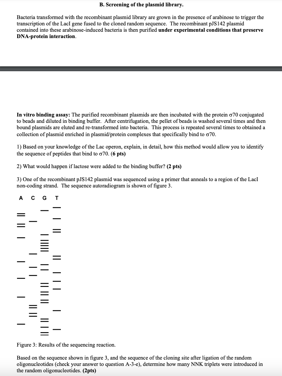 Solved B. Screening of the plasmid library. Bacteria | Chegg.com