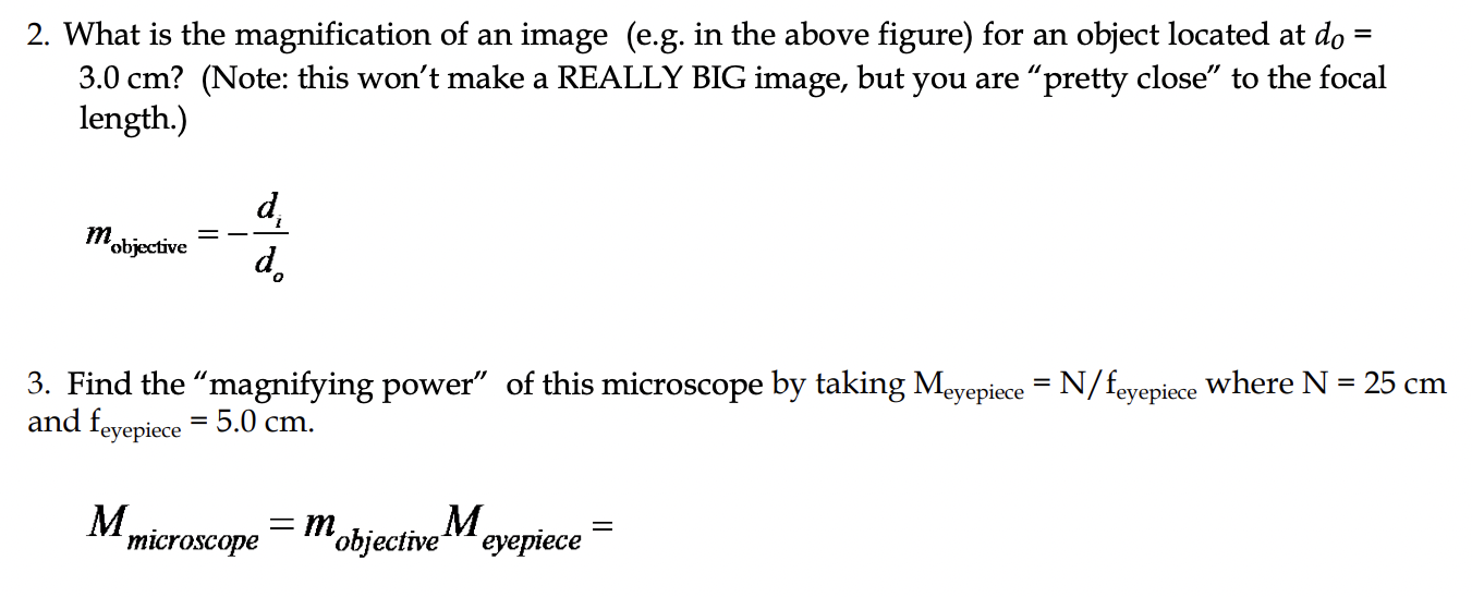 Solved Compound Microscope: A magnifying glass looking at a | Chegg.com