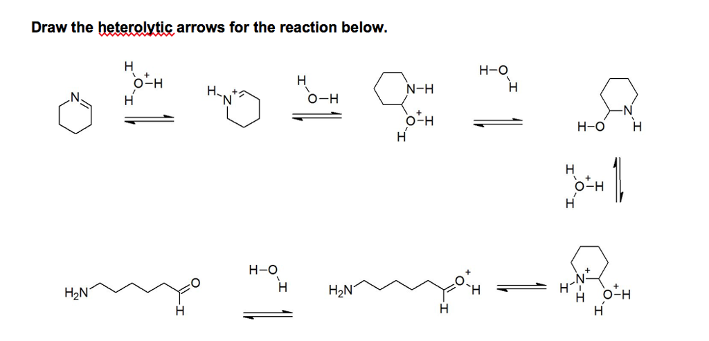 Solved Draw the heterolytic arrows for the reaction below. | Chegg.com