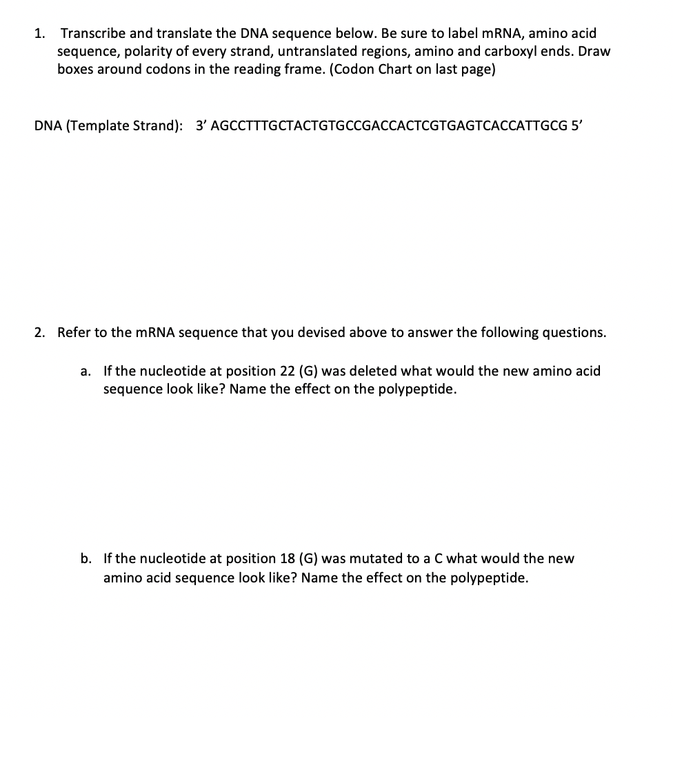 Solved 1. Transcribe and translate the DNA sequence below. | Chegg.com
