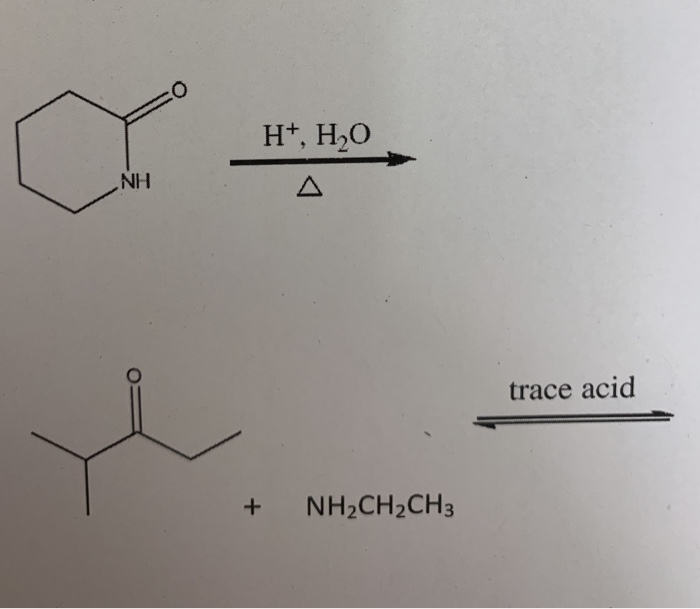 Solved H+, H20 NH trace acid + NH2CH2CH3 | Chegg.com