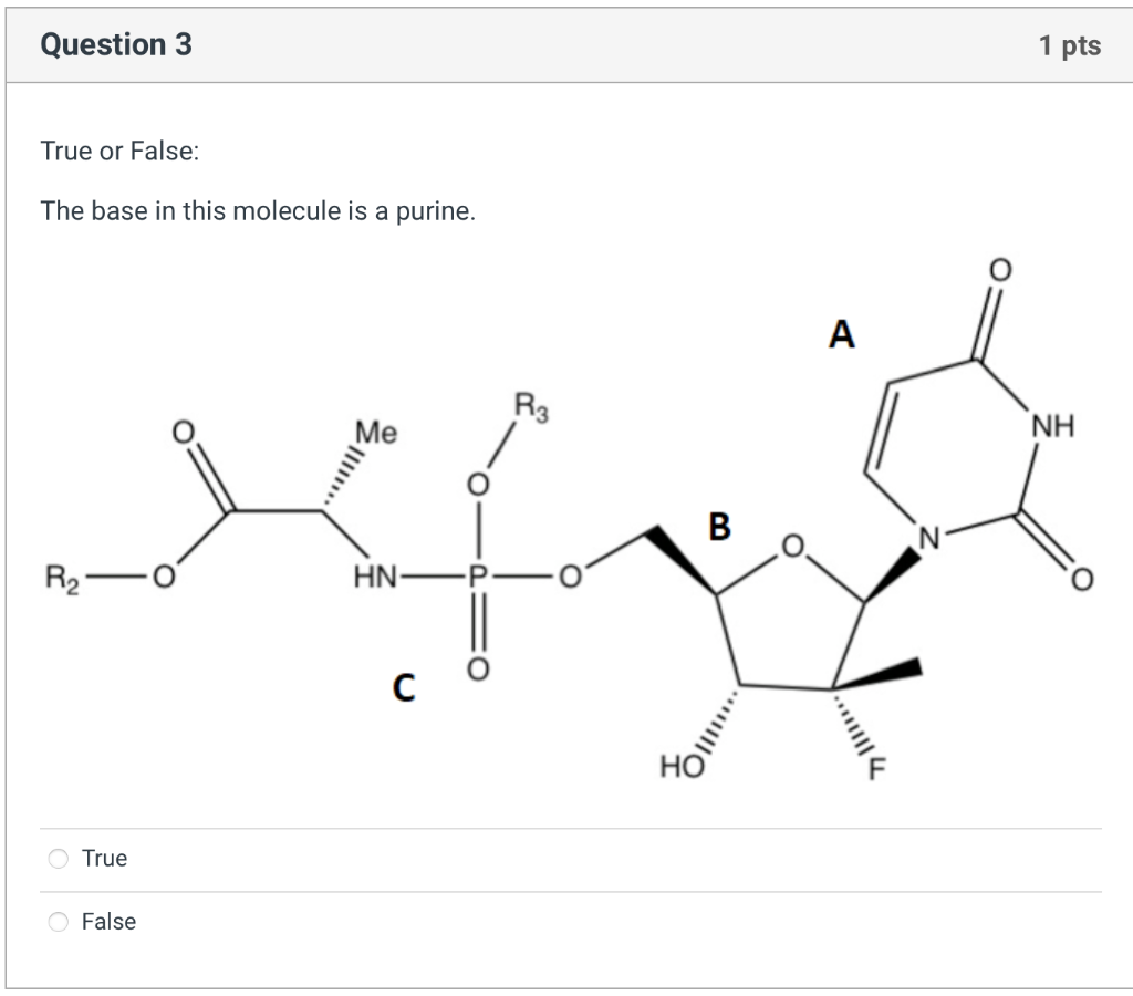 Solved True or False: The hace in thic molecule ic a nurine | Chegg.com