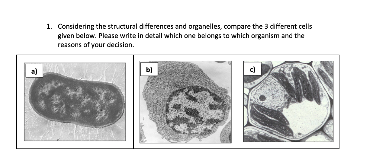Solved 1. Considering the structural differences and | Chegg.com