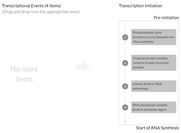 Solved Transcription Initiation Transcriptional Events (4 | Chegg.com
