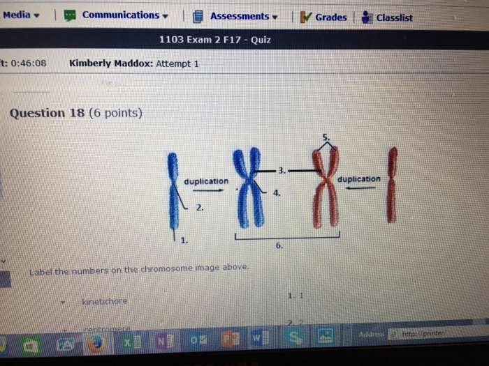 Solved Question 12 (5 points) 3 2 1. 5. 4 Match the number | Chegg.com Solved Question 12 (5 points) 3 2 1. 5. 4 Match the number | Chegg.com
