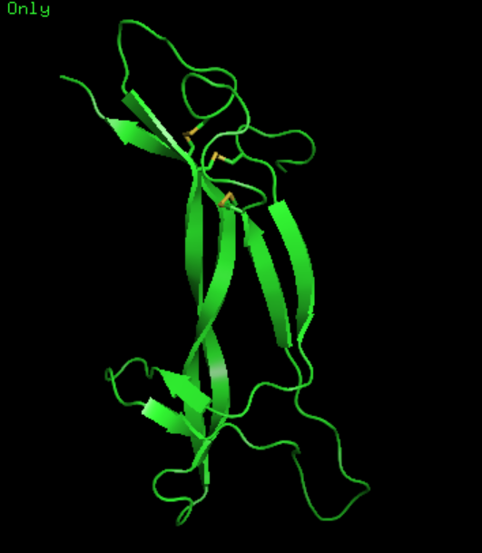 Solved Above is an image of Neurotrophin-3. Answer the | Chegg.com