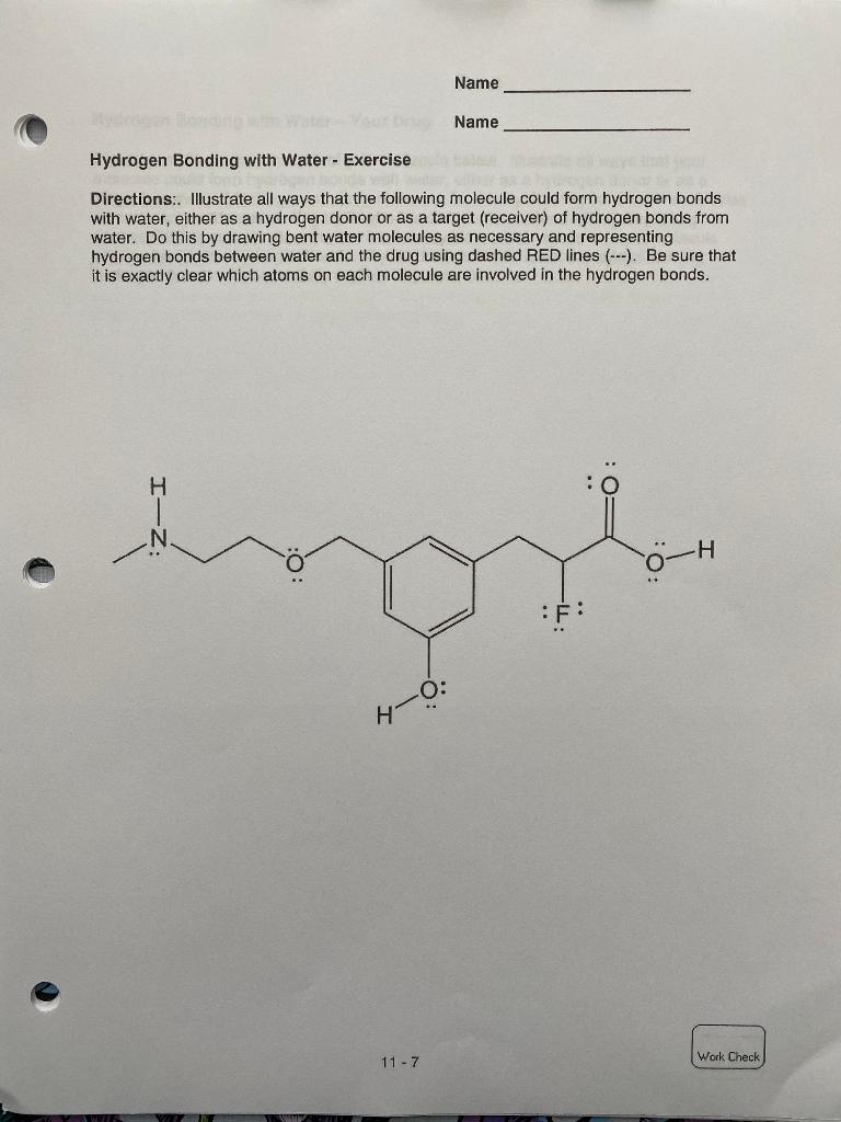 Solved Name Name Hydrogen Bonding with Water - Exercise | Chegg.com
