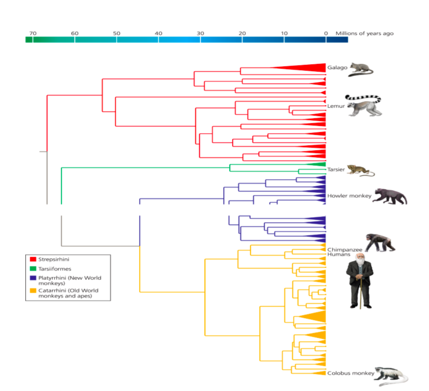 Solved Which of the following conclusion is NOT justified, | Chegg.com
