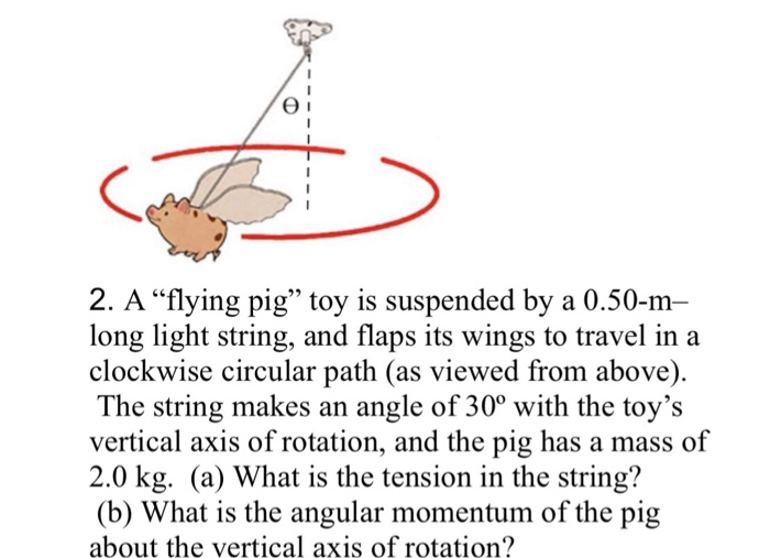 Solved 2. A "flying pig" toy is suspended by a 0.50-m long | Chegg.com