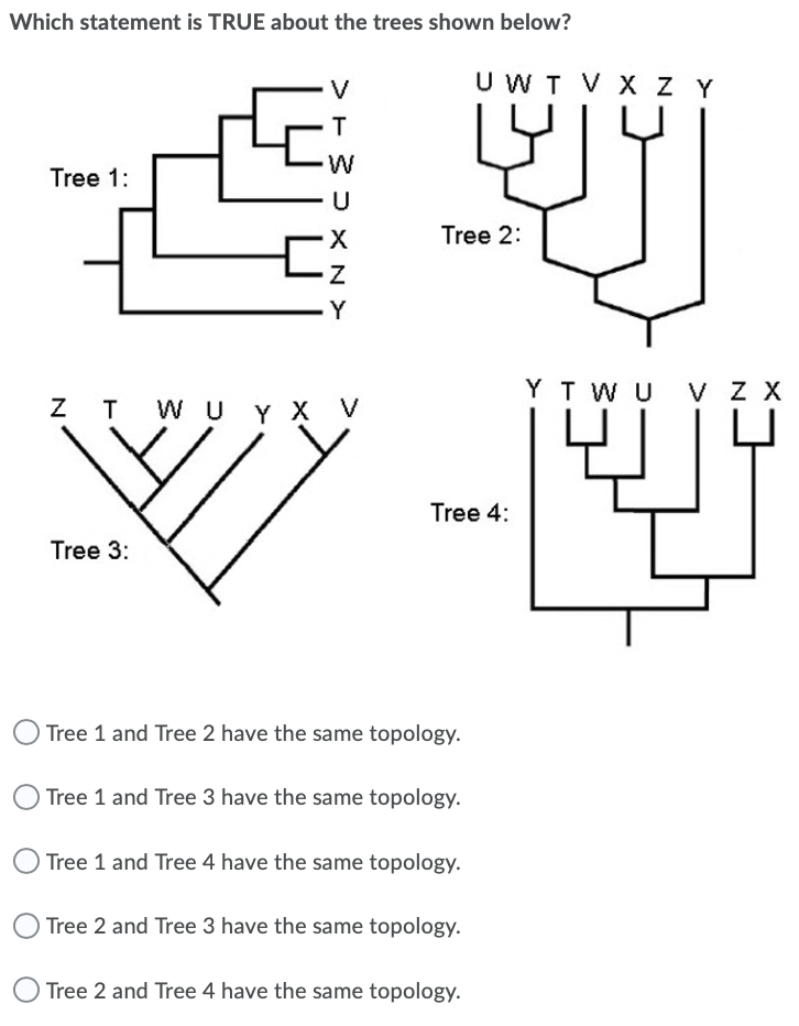Solved Which statement is TRUE about the trees shown below? | Chegg.com