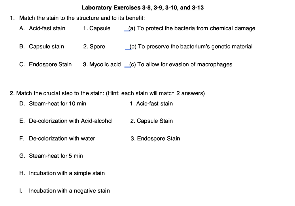 Solved Laboratory Exercises 3-8, 3-9, 3-10, and 3-13 1. | Chegg.com