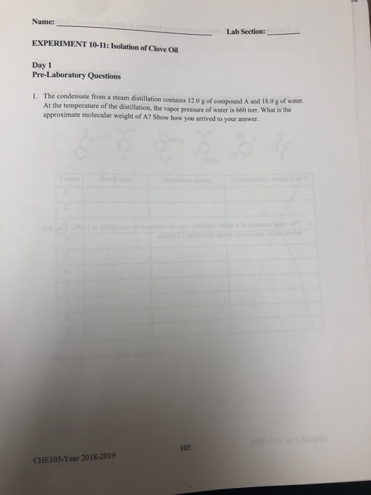Solved Name: Lab Section: EXPERIMENT 10-11: Isolation of | Chegg.com