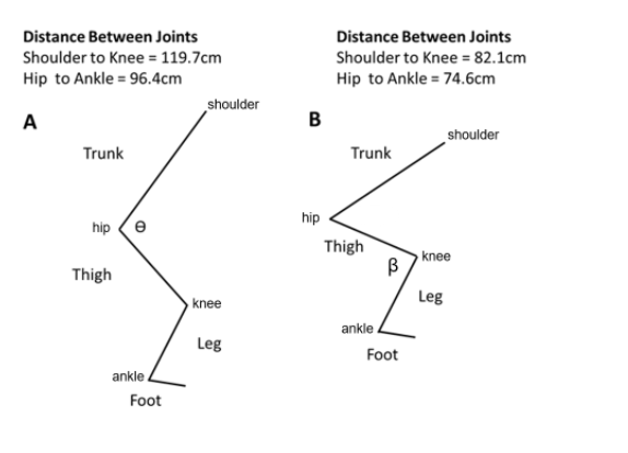 Solved Use the distances listed between the joints to answer | Chegg.com