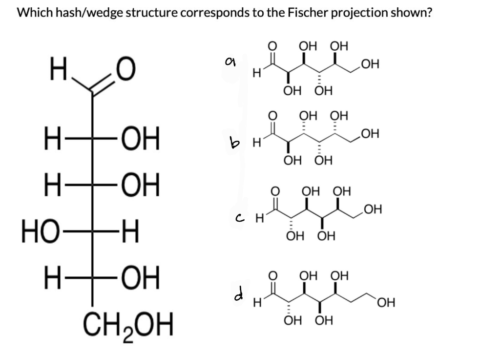 Solved Which hash/wedge structure corresponds to the Fischer | Chegg.com