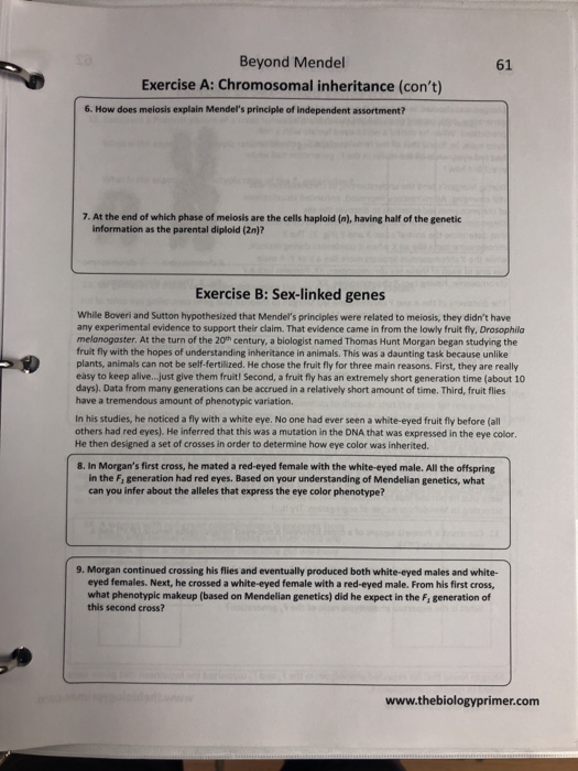 Solved 60 Beyond Mendel Exercise A: Chromosomal inheritance | Chegg.com