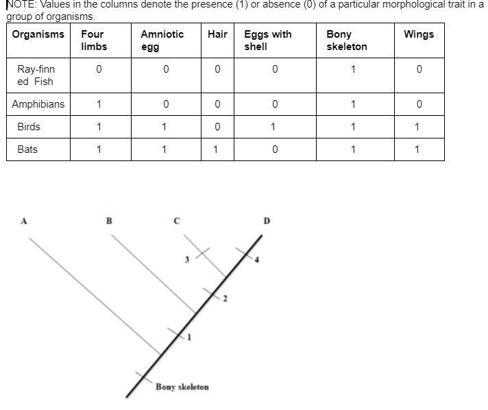 Solved A) Which of the four groups would you assign to | Chegg.com