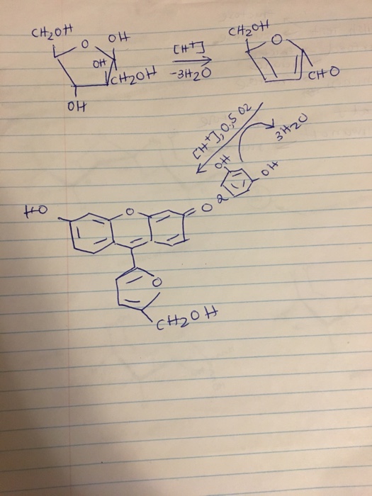 Solved I was given this reaction for the Seliwanoff test in | Chegg.com