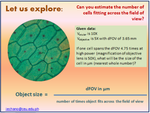 Solved Let us explore: Can you estimate the number of cells | Chegg.com