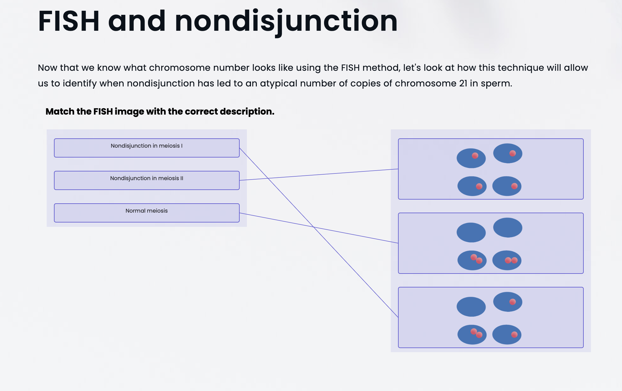 Solved FISH and nondisjunctionNow that we know what | Chegg.com