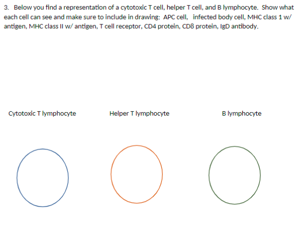 Solved 3. Below you find a representation of a cytotoxic T | Chegg.com
