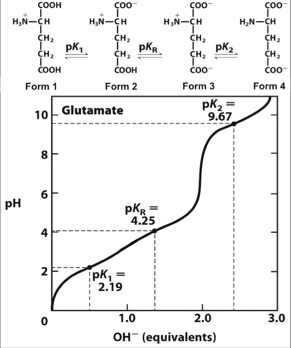 Solved Based on the information in the figure below, which | Chegg.com