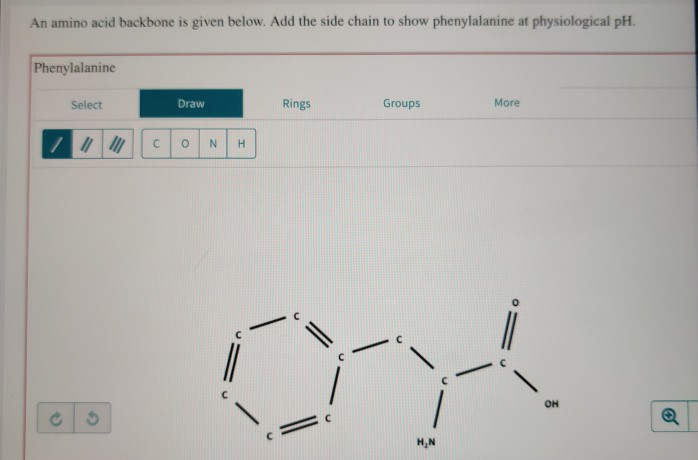Solved An amino acid backbone is given below. Add the side | Chegg.com