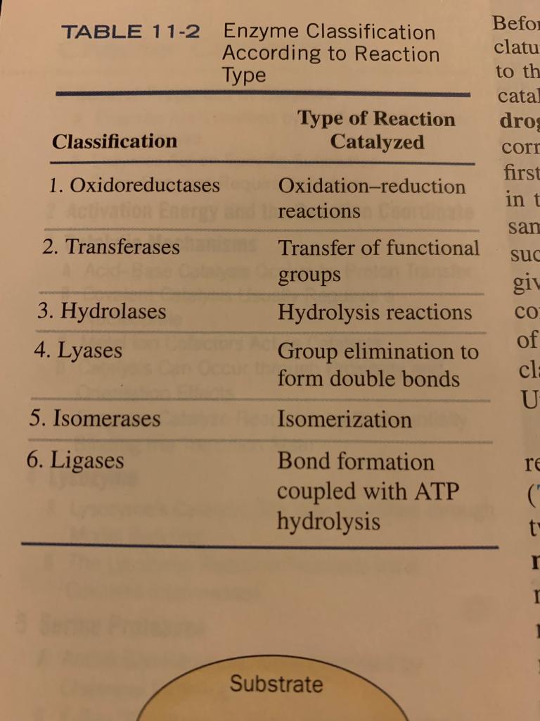 Solved TABLE 11-2 Enzyme Classification According to | Chegg.com