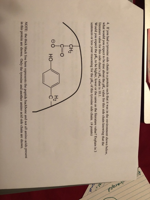 Solved 4. If you had a tyrosine side chain in a protein such | Chegg.com