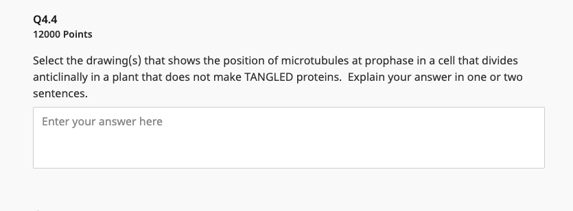 Solved For each question, choose the cell drawing(s) from | Chegg.com