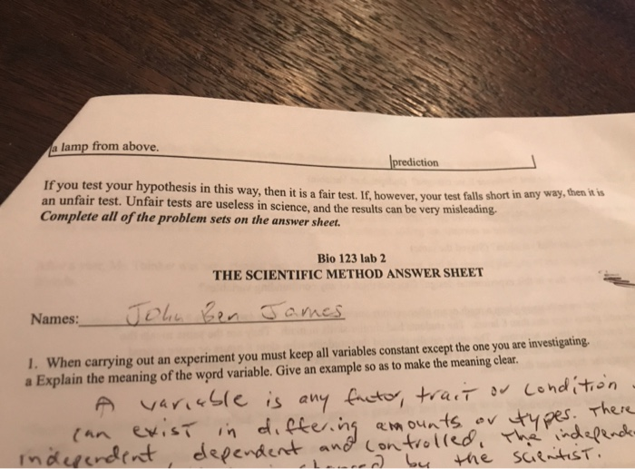 Solved a lamp from above prediction If you test your | Chegg.com