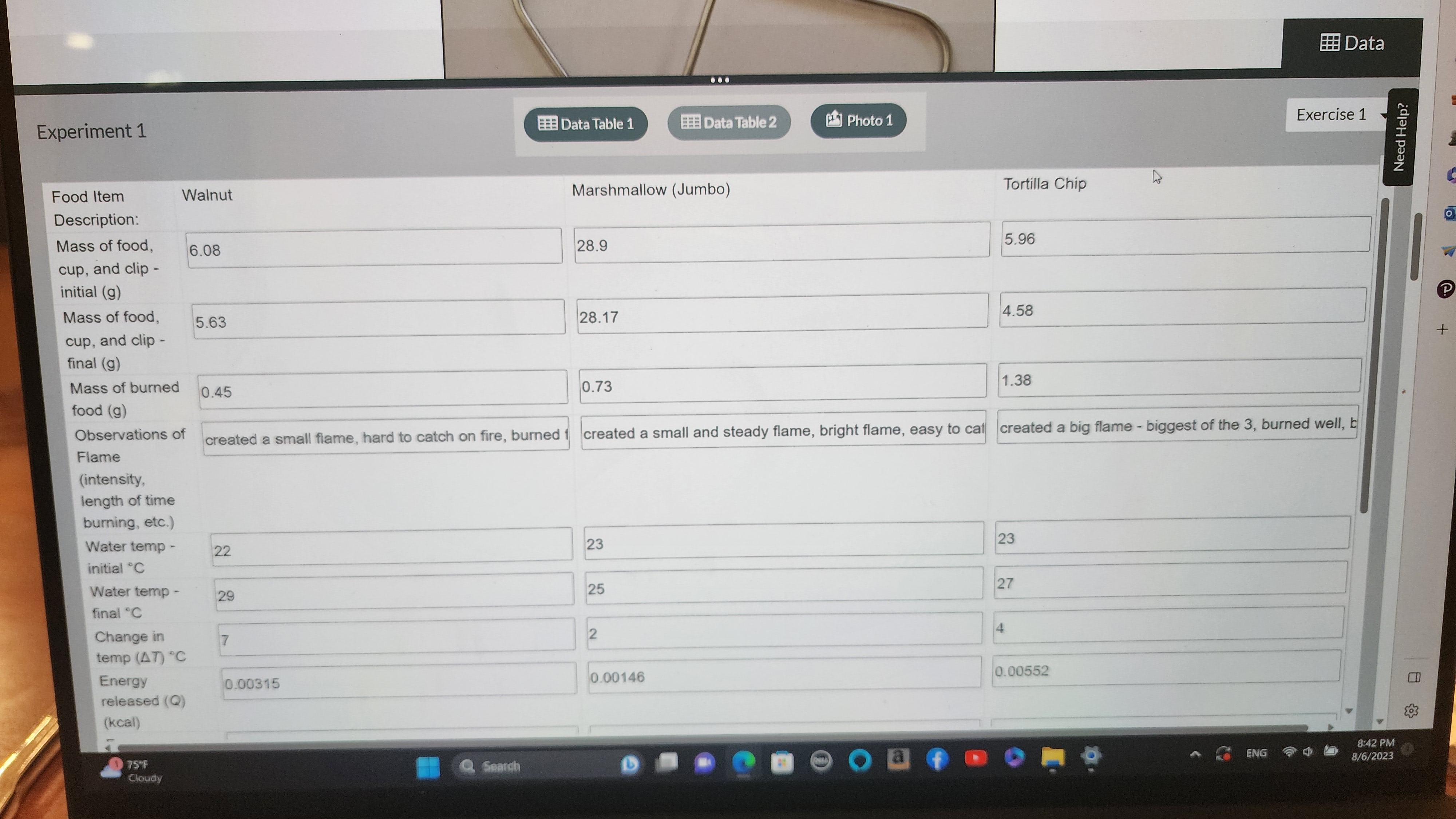 Food Item Description: Mass of food, cup, and clip - | Chegg.com